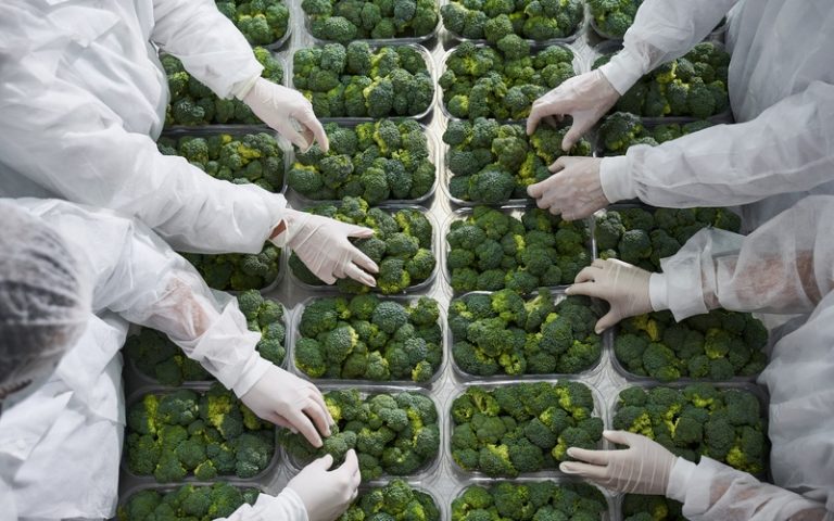 The 5 Most Important Parameters in Produce Quality Control - Felix ...