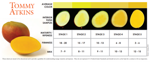Internal Color of Fresh Produce: Importance and Applications - Felix ...