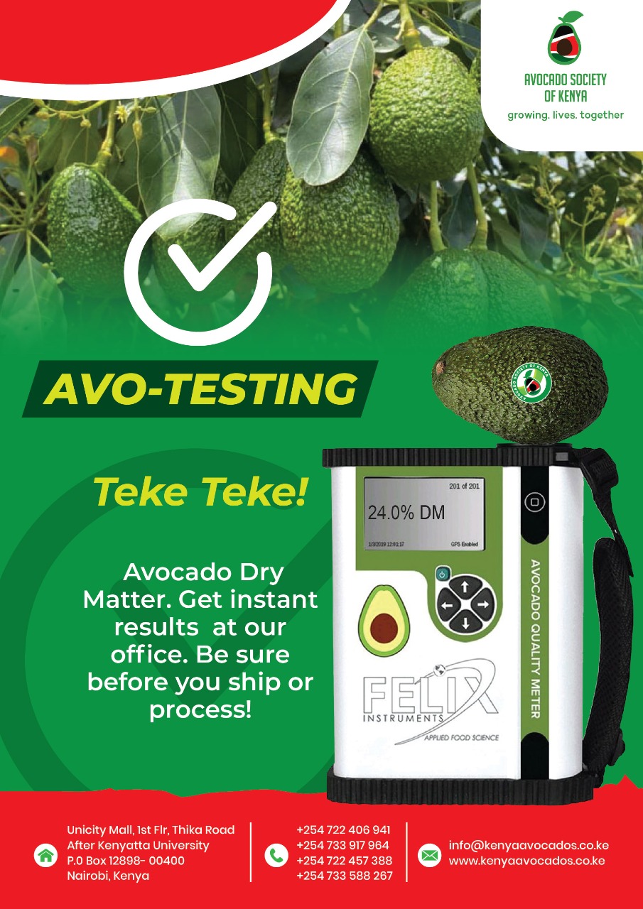 Empowering Small-Scale Farmers: The Avocado Society of Kenya's ...