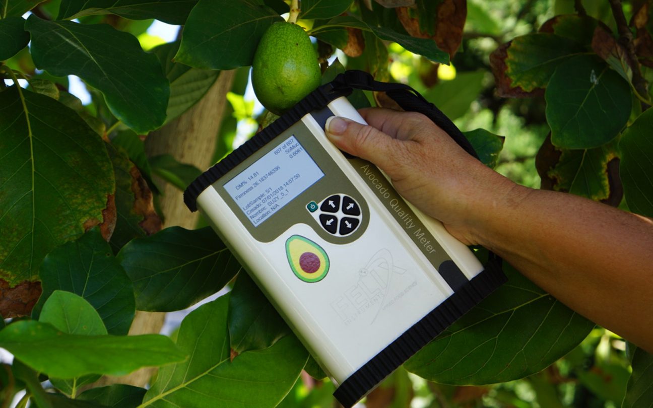 Which NIR Device Wins on ROI? Comparing Felix F-751, Rubens ...