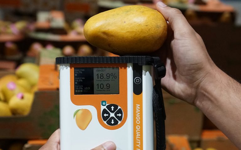 Why Color Remains an Important Fruit Maturity Index - Felix Instruments