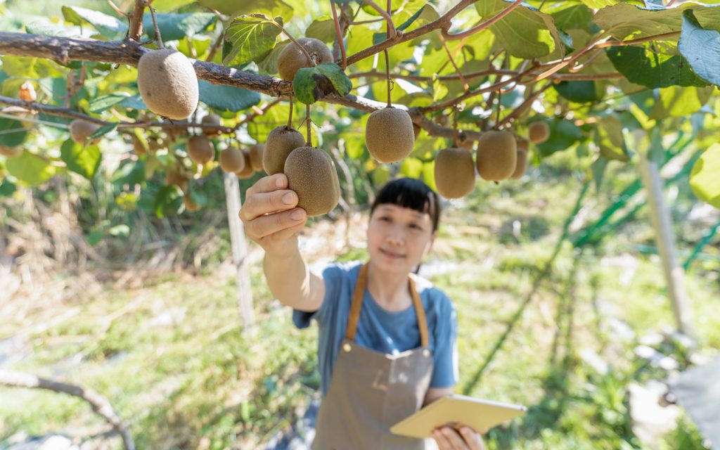 How Biostimulants Improve Fruit Quality - Felix Instruments