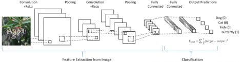 How AI Analytics is Transforming Fruit Quality Control and Monitoring ...