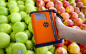 Fruit Respiration Impact on Fruit Quality - Felix Instruments