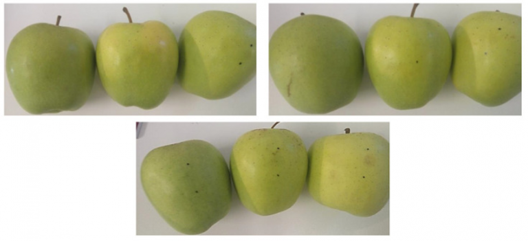 Bruising Impact on Fruit Quality - Felix Instruments
