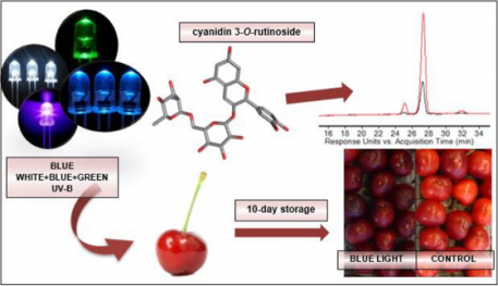 LEDs Impact on Post-Harvest Fruit Quality - Felix Instruments