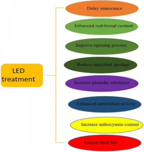 LEDs Impact on Post-Harvest Fruit Quality - Felix Instruments