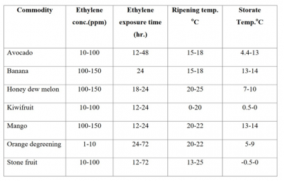 Optimizing Quality and Shelf Life with Fruit Ripening Programs - Felix ...