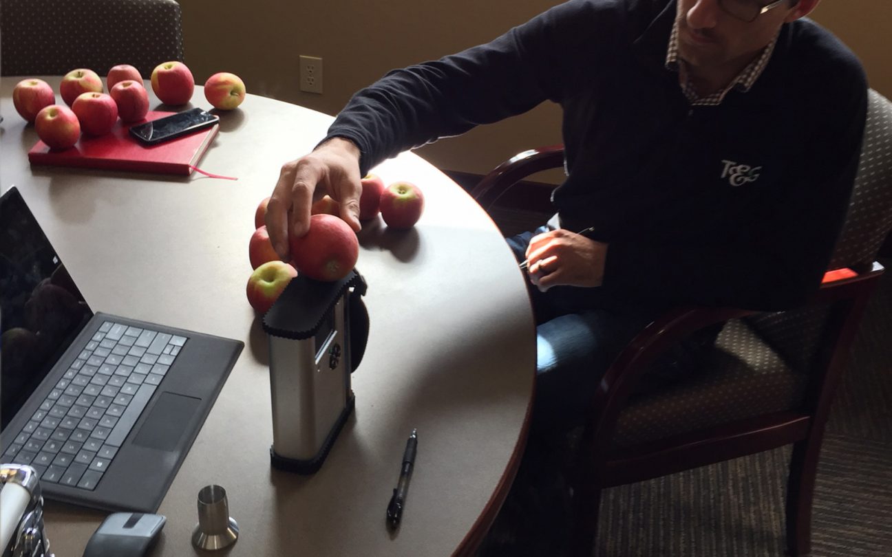 Why Color Remains an Important Fruit Maturity Index - Felix Instruments