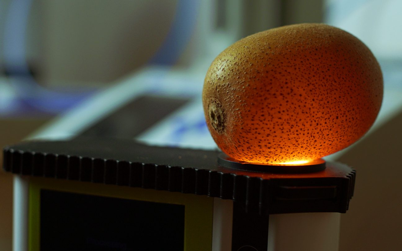 Application of Handheld Near-Infrared Spectroscopy (NIRS) as a Portable ...