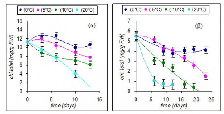 Understanding Fresh Produce Spoilage: 5 Causes and Prevention