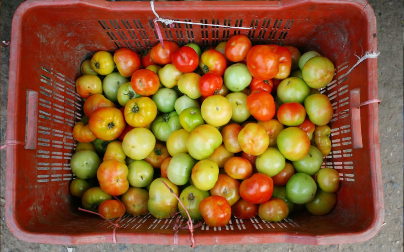 Understanding Fresh Produce Spoilage: 5 Causes and Prevention