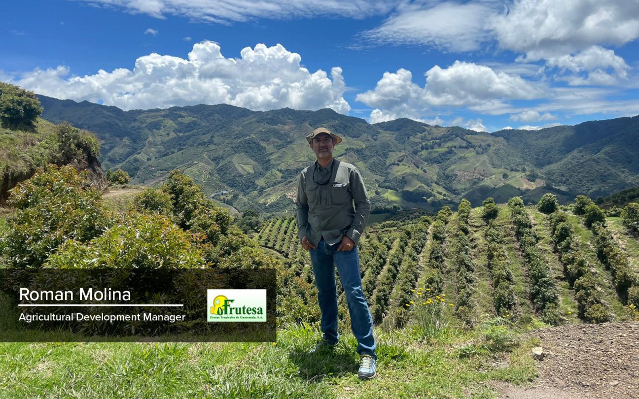 Enhancing Agricultural Efficiency at Frutesa with Advanced Technology ...