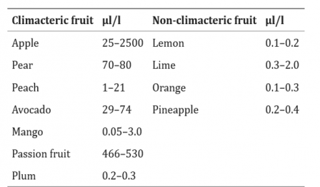 How the Fruit Ripening Process Affects Freshness and Quality