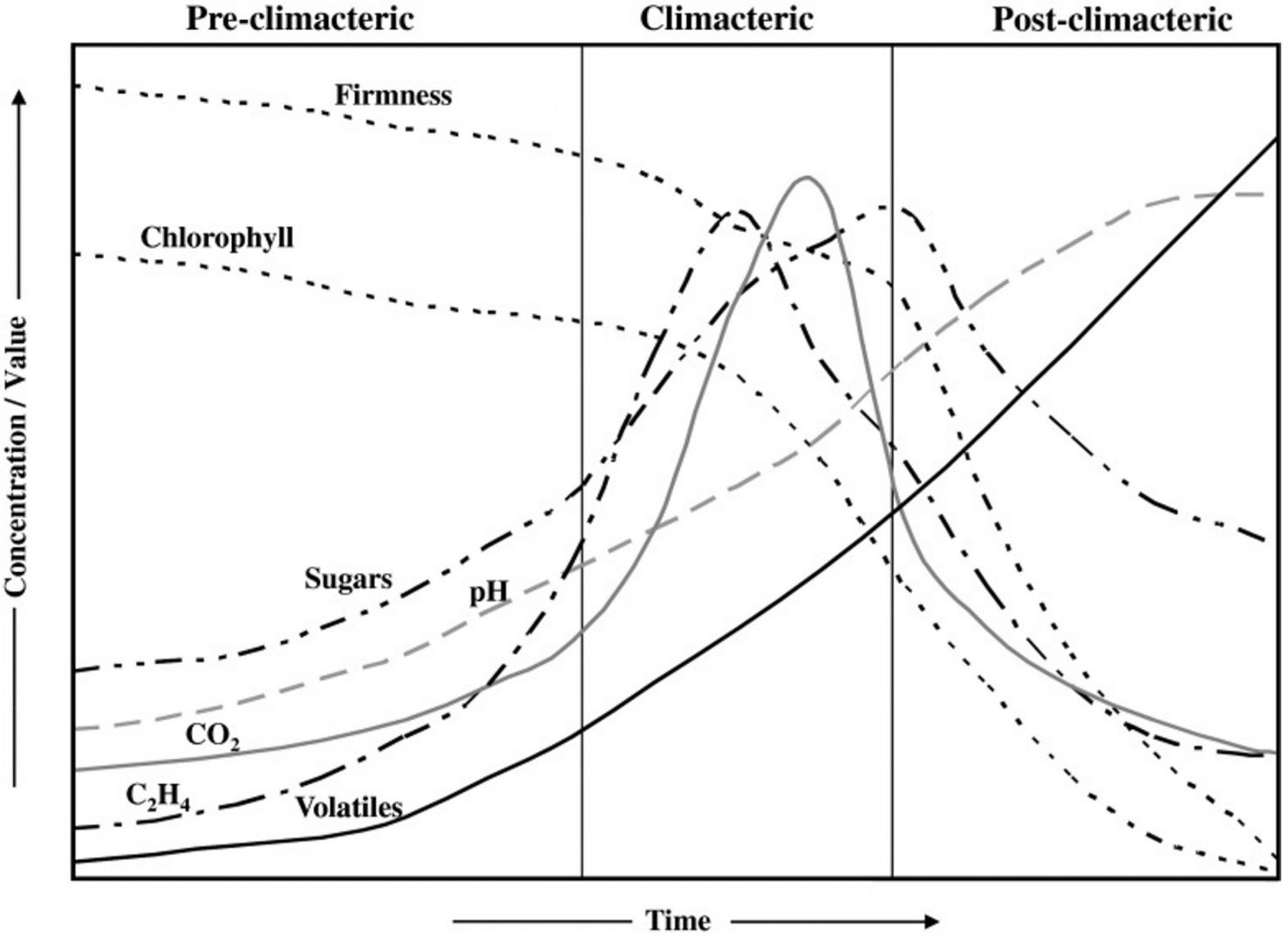 How Does Controlled Atmosphere Storage Extend Fruit Shelf-Life?