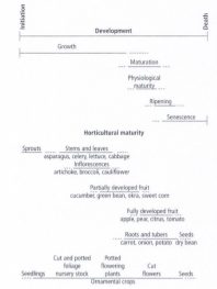 What are Harvest Maturity Indices? Why are they Important?