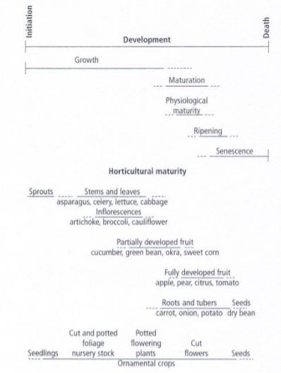 What are Harvest Maturity Indices? Why are they Important?
