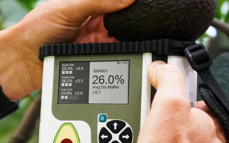 What are Harvest Maturity Indices? Why are they Important?