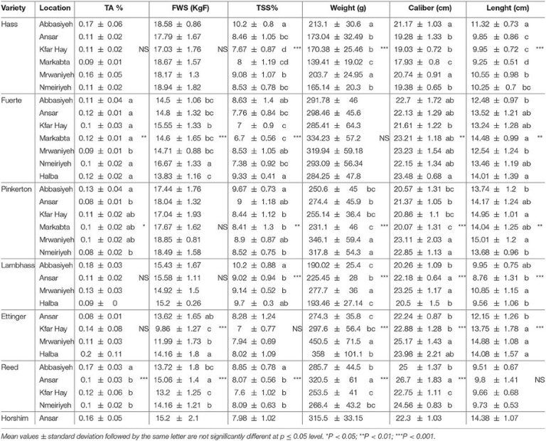 How to Determine the Right Avocado Harvest Maturity Index