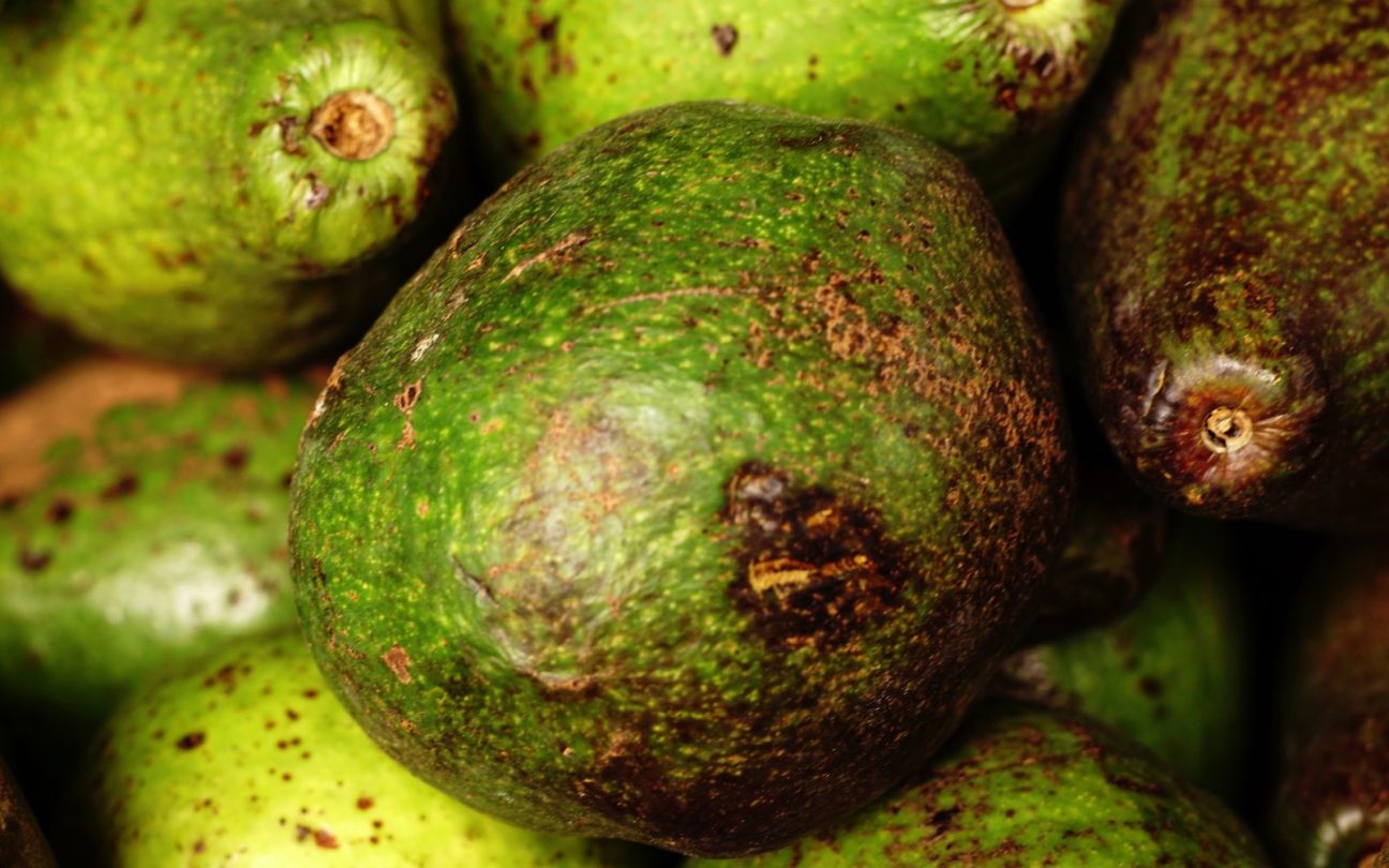 How Does Bruise Susceptibility in Fresh Produce Impact Quality?