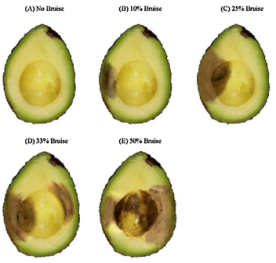 How Does Bruise Susceptibility in Fresh Produce Impact Quality?