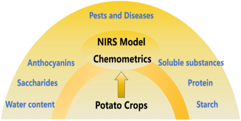 Advances in NIR Spectroscopy for Root Crops