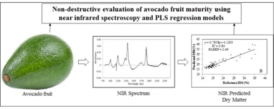What Is Dry Matter Content and Why It Matters?