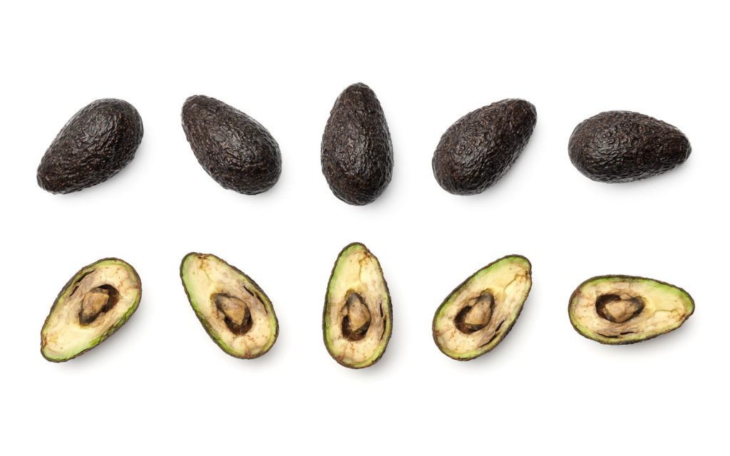 What Is Dry Matter Content and Why It Matters?